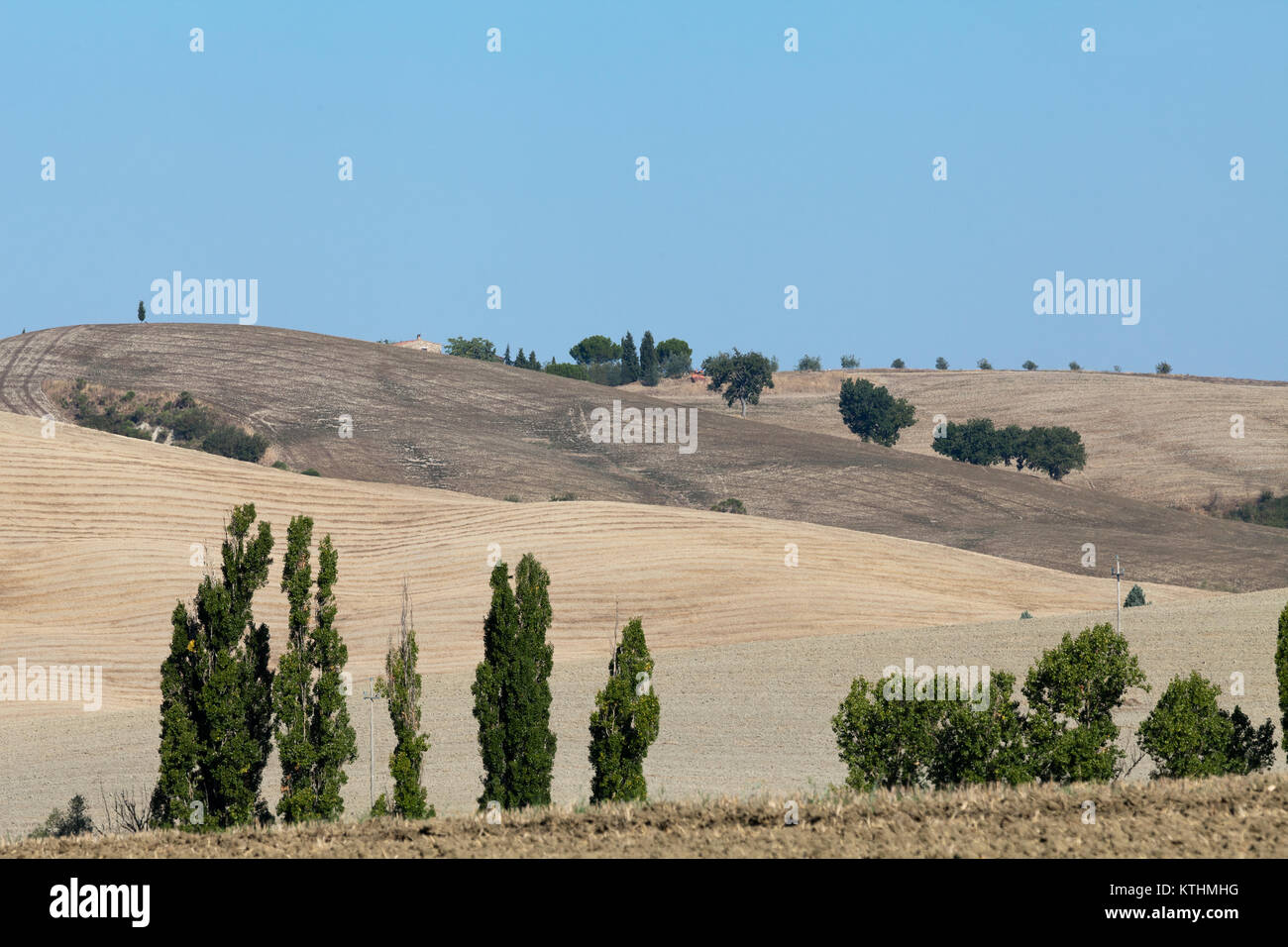 The landscape of the Tuscany. Italy Stock Photo - Alamy