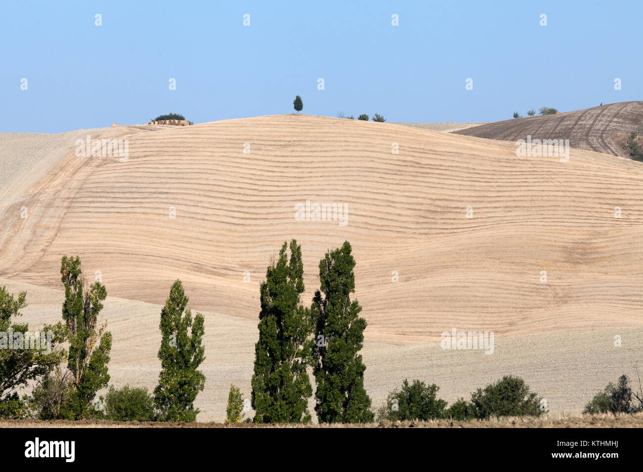 The landscape of the Tuscany. Italy Stock Photo - Alamy