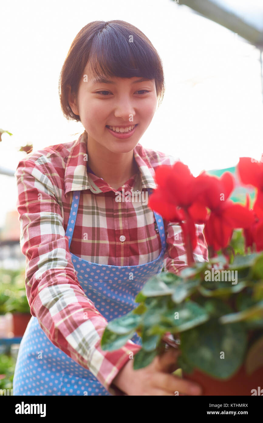 Chinese beautiful girl hi-res stock photography and images - Alamy
