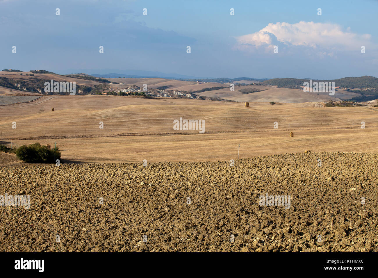 The landscape of the Tuscany. Italy Stock Photo - Alamy