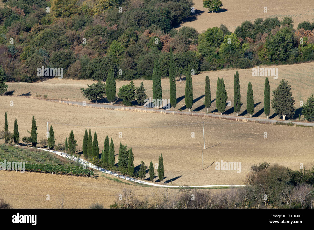 The landscape of the Tuscany. Italy Stock Photo - Alamy