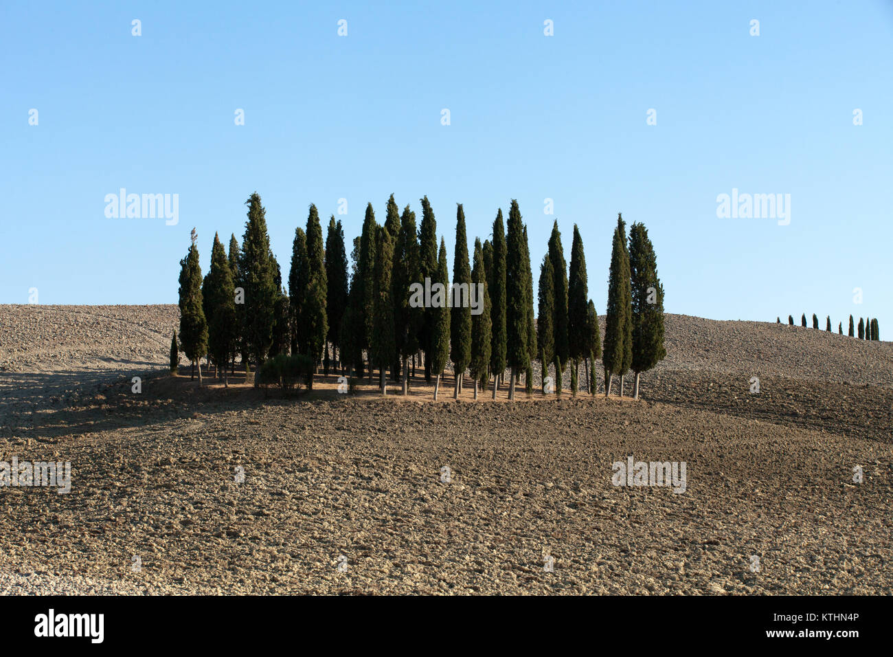 The landscape of the Tuscany. Italy Stock Photo - Alamy