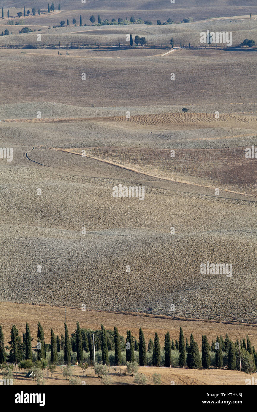 The landscape of the Tuscany. Italy Stock Photo - Alamy