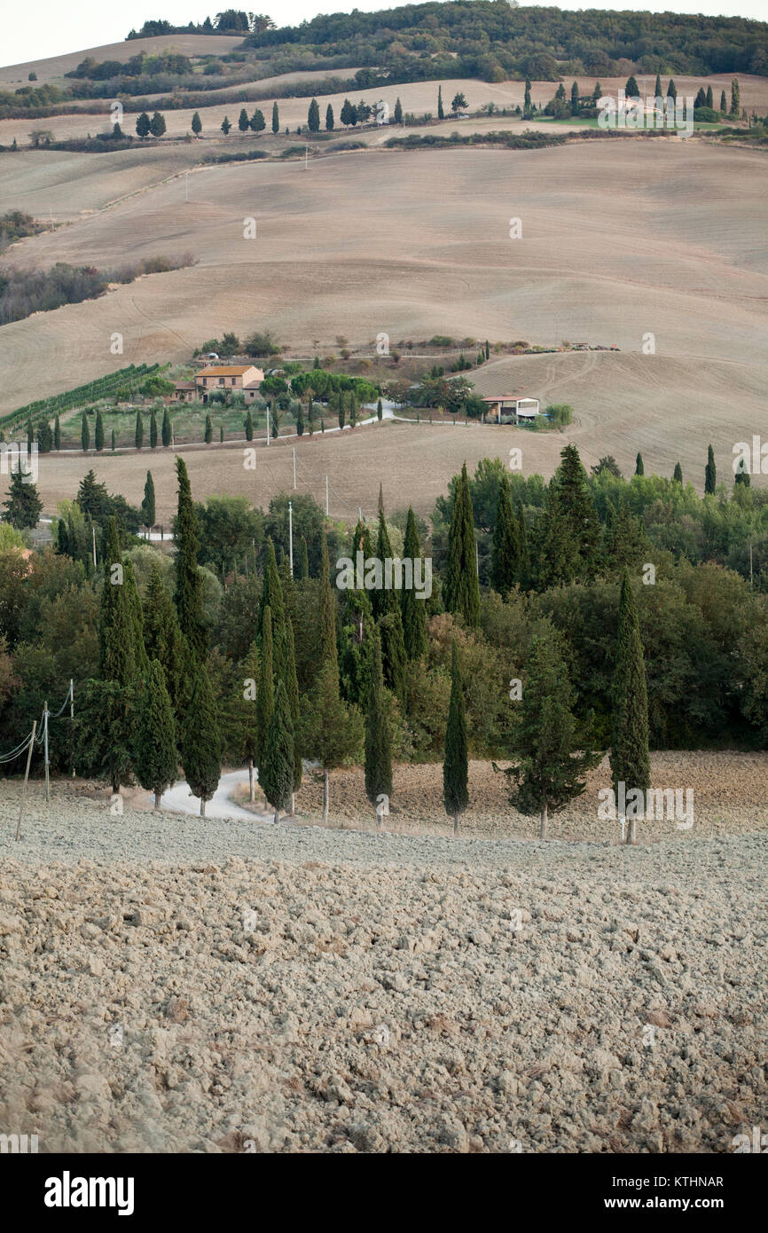 The landscape of the Tuscany. Italy Stock Photo - Alamy