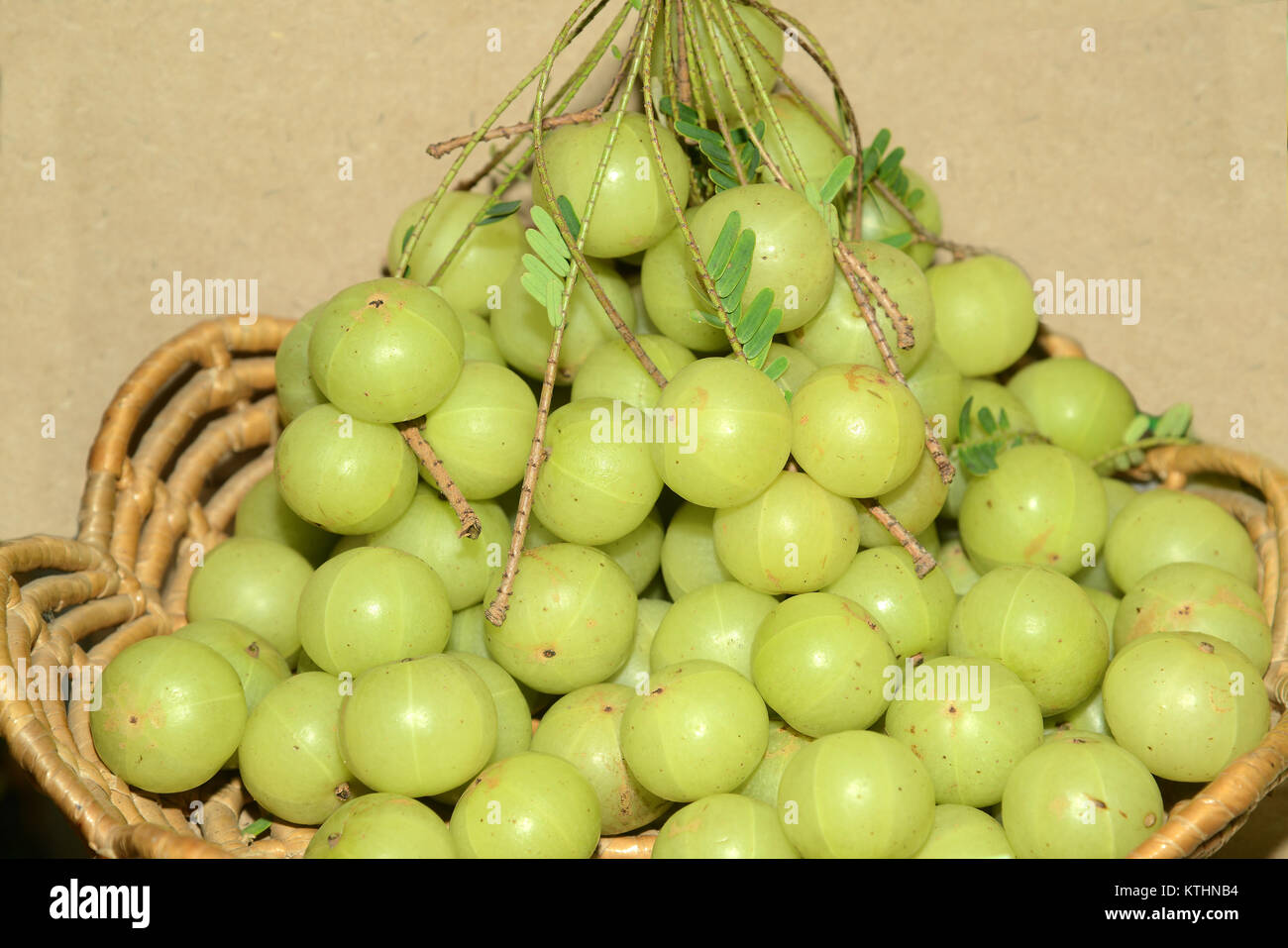 Organic Indian gooseberry or Amla (Phyllanthus emblica Stock Photo - Alamy