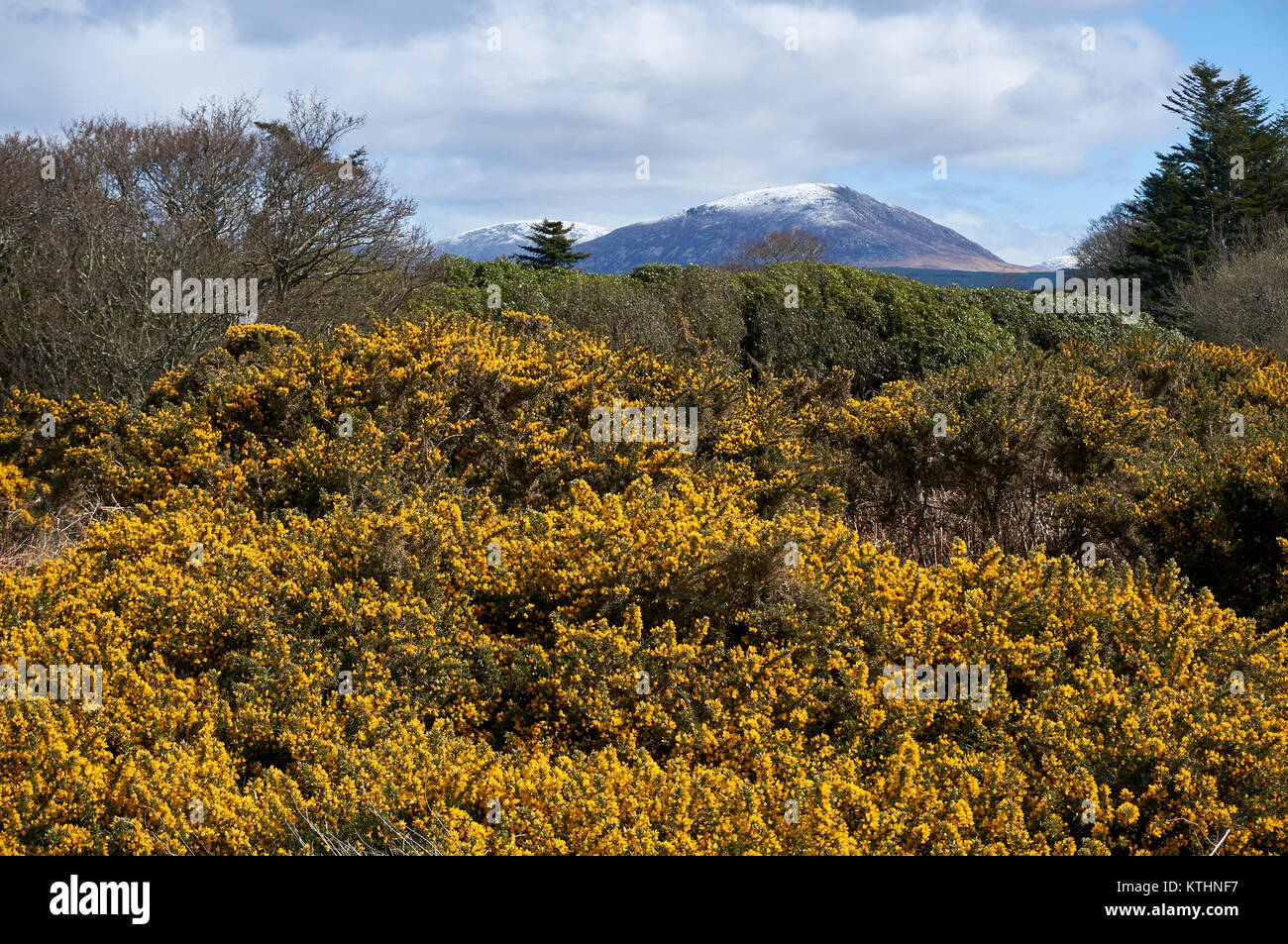 Pirnmill hills hi-res stock photography and images - Alamy