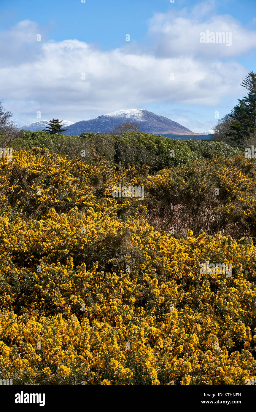 Pirnmill hills hi-res stock photography and images - Alamy