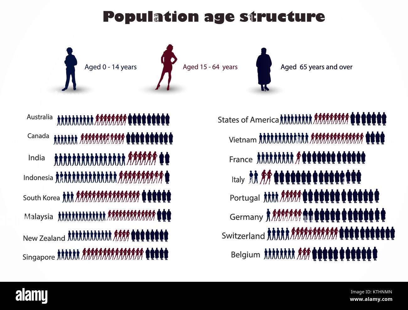 Infographic about the population structure by age Stock Vector Image ...