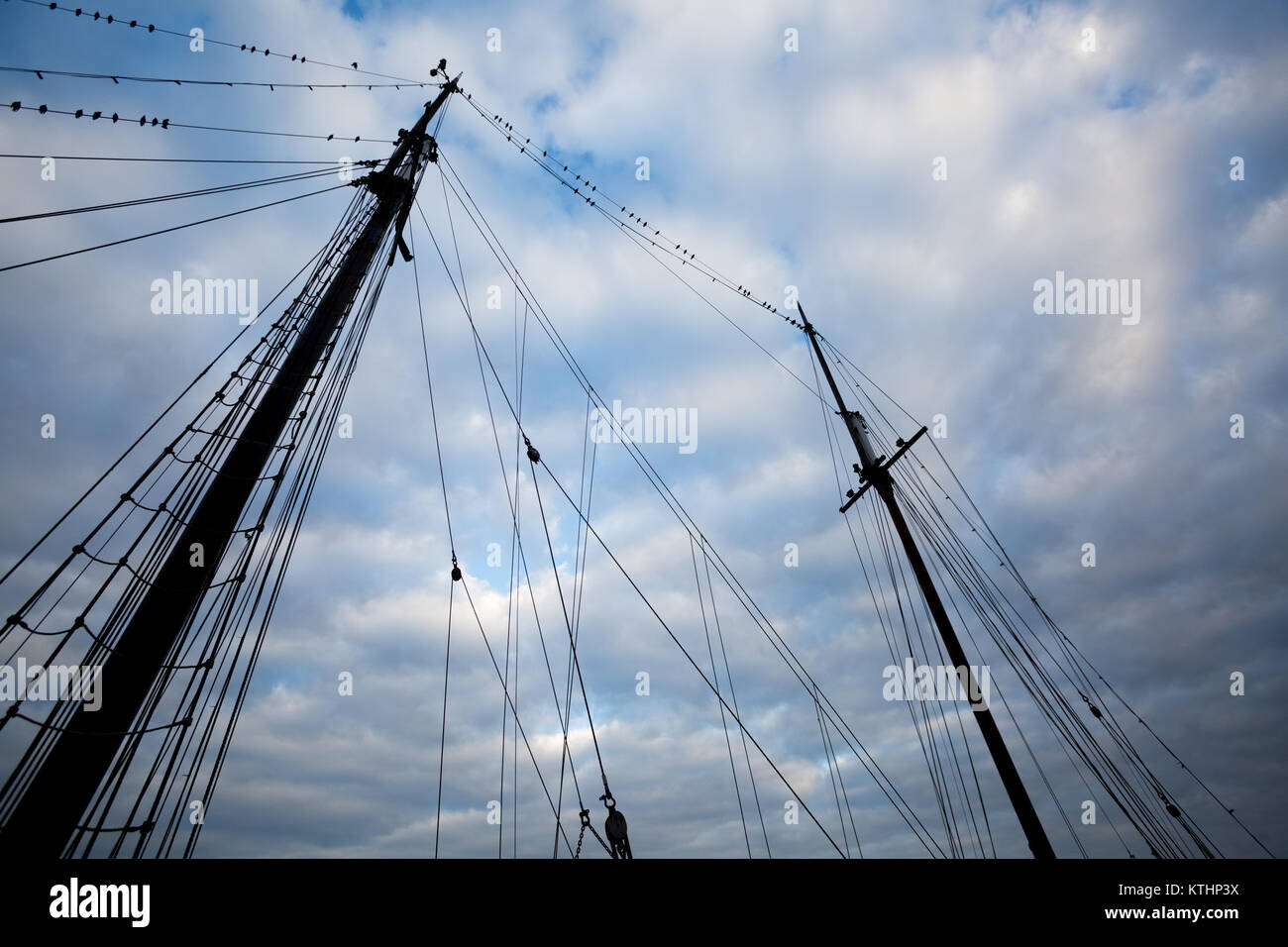 Starlngs perching on rigging of a sailing ship Stock Photo - Alamy