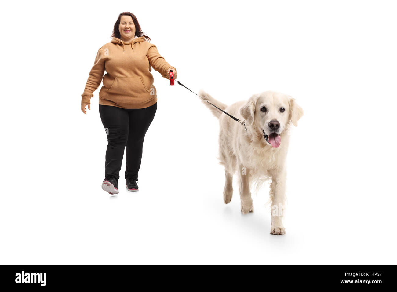 Full length portrait of a woman walking a labrador retriever dog ...