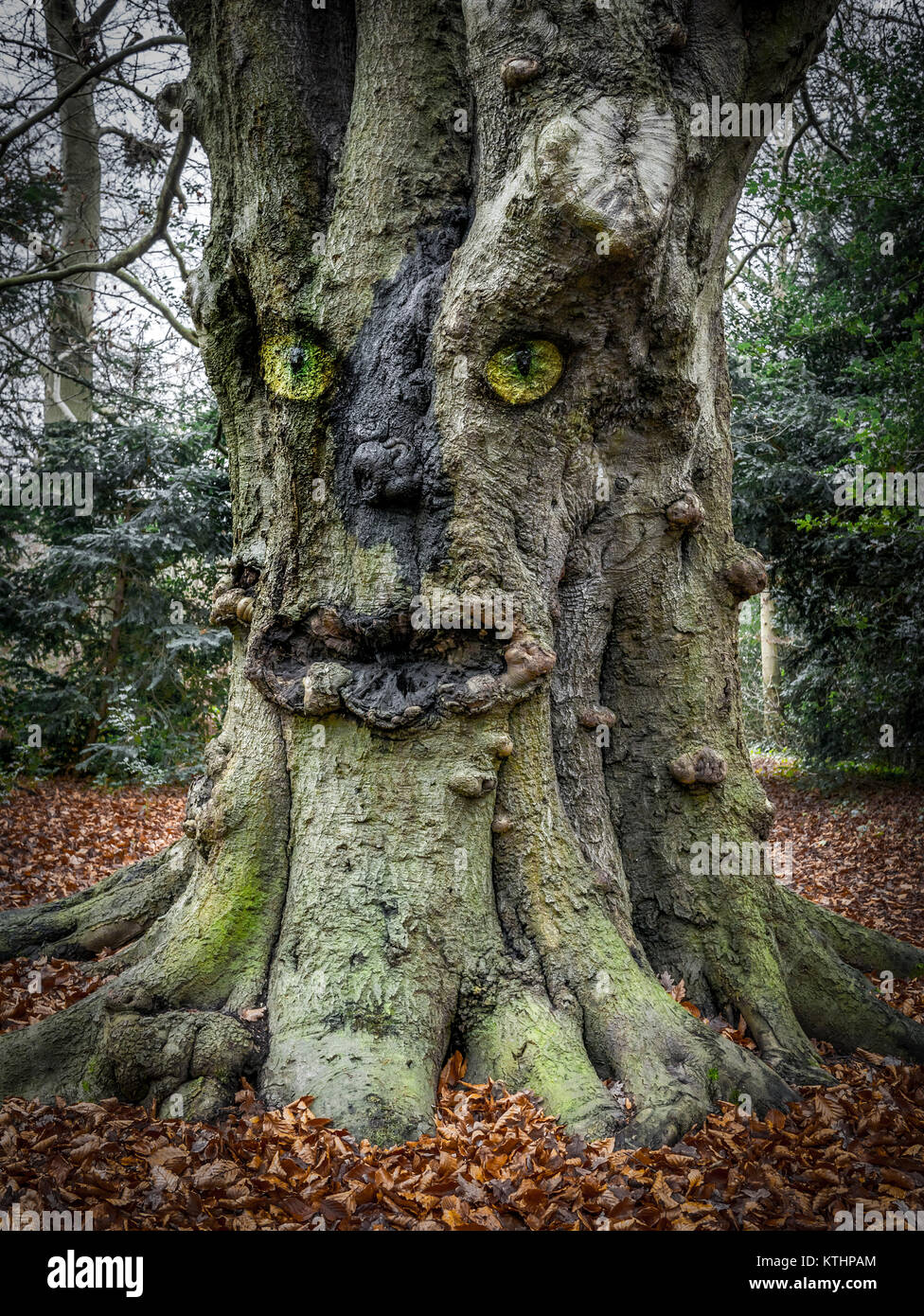 Tree Demon High Resolution Stock Photography and Images - Alamy