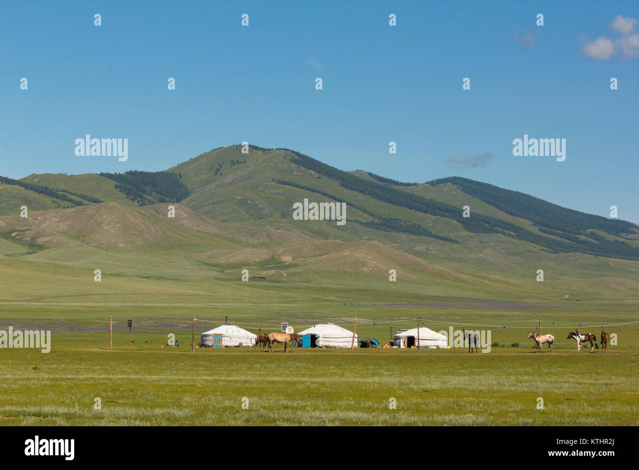 Russian yurt landscape hi-res stock photography and images - Alamy