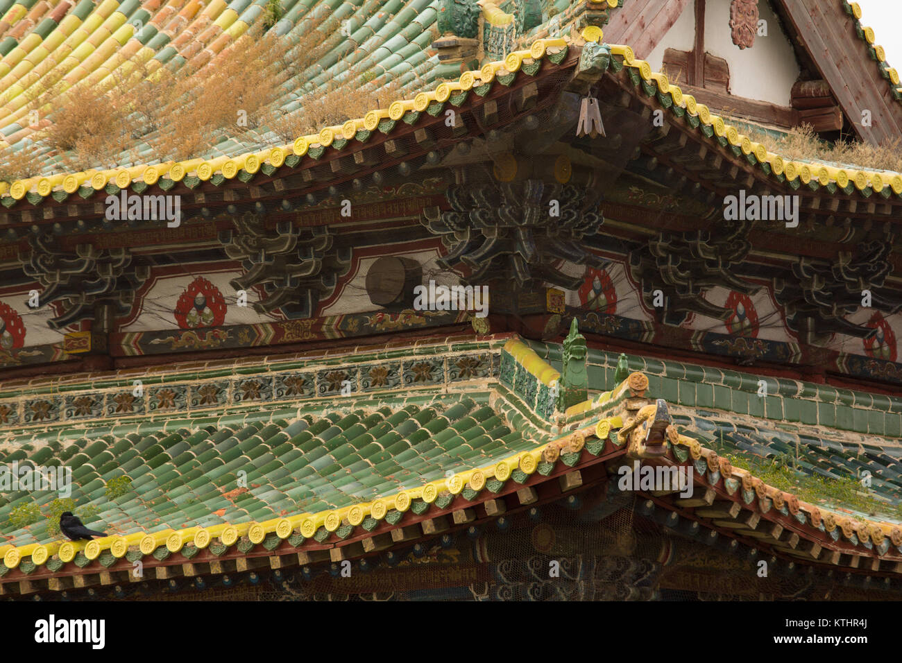 Nice decorated roofs in old Mongolian monasteries are covered by green ...