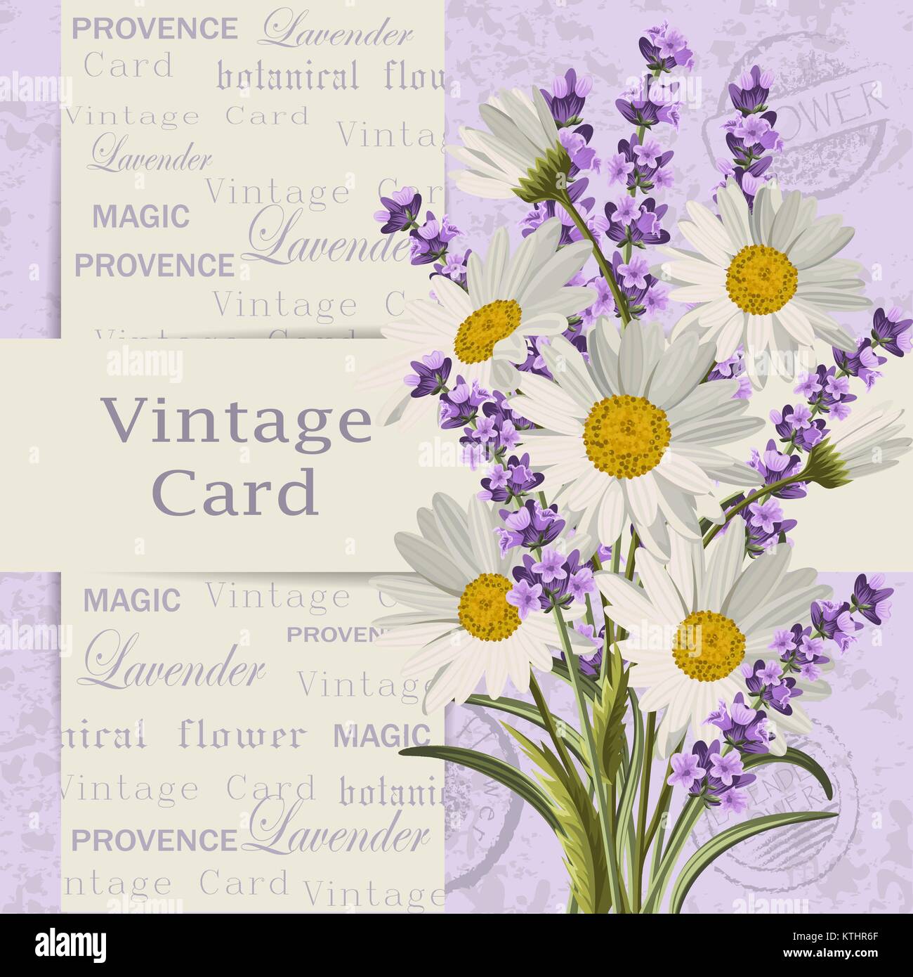 Beautiful field lavender flowers Stock Vector Images - Alamy