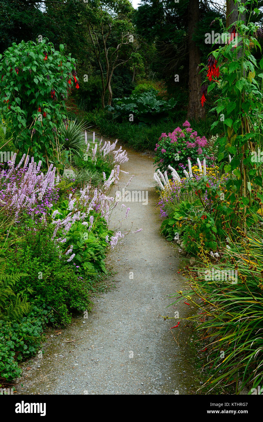 Salvia Border Stock Photos & Salvia Border Stock Images - Alamy