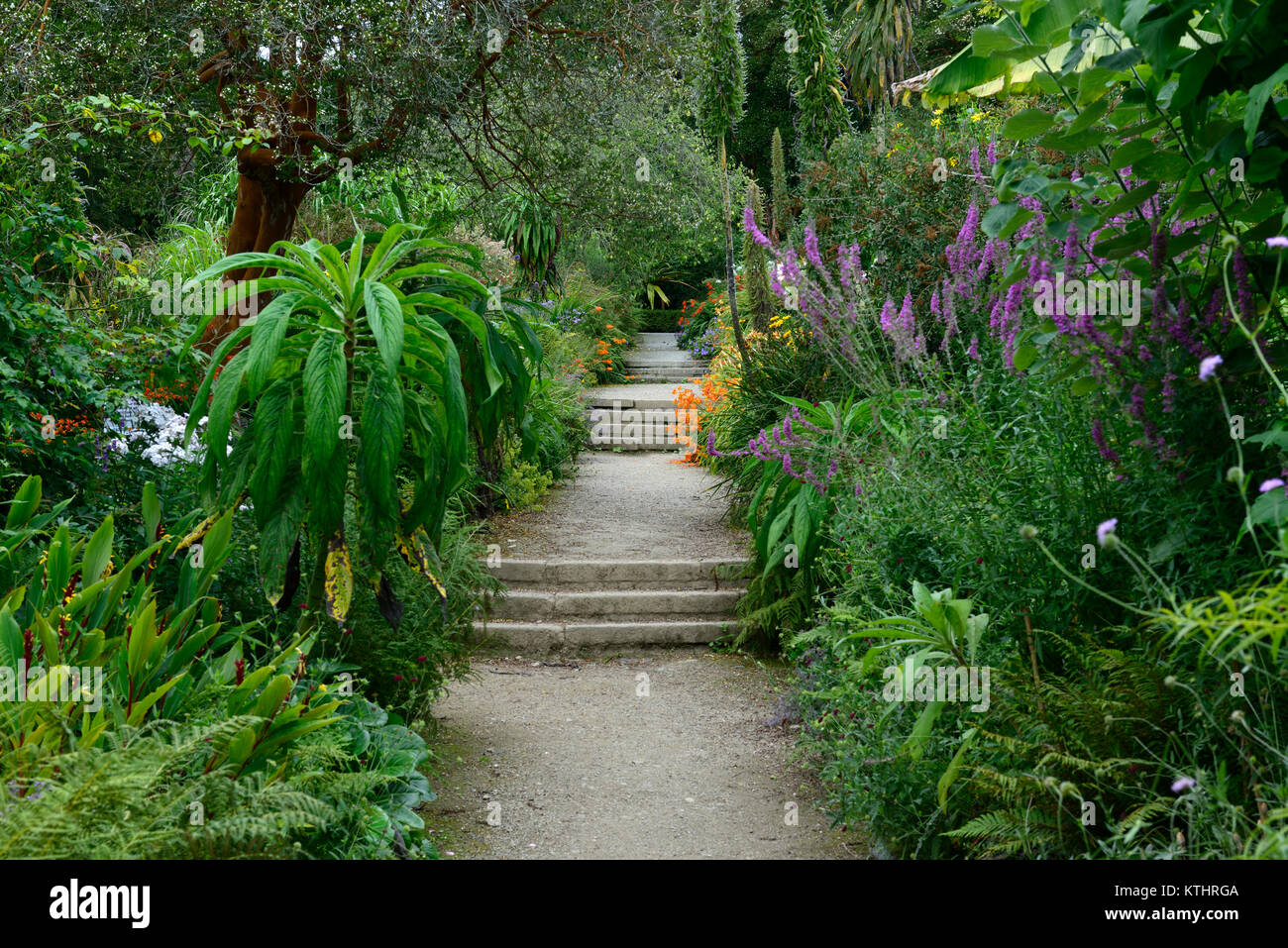 Victorian Planting Stock Photos & Victorian Planting Stock Images - Alamy