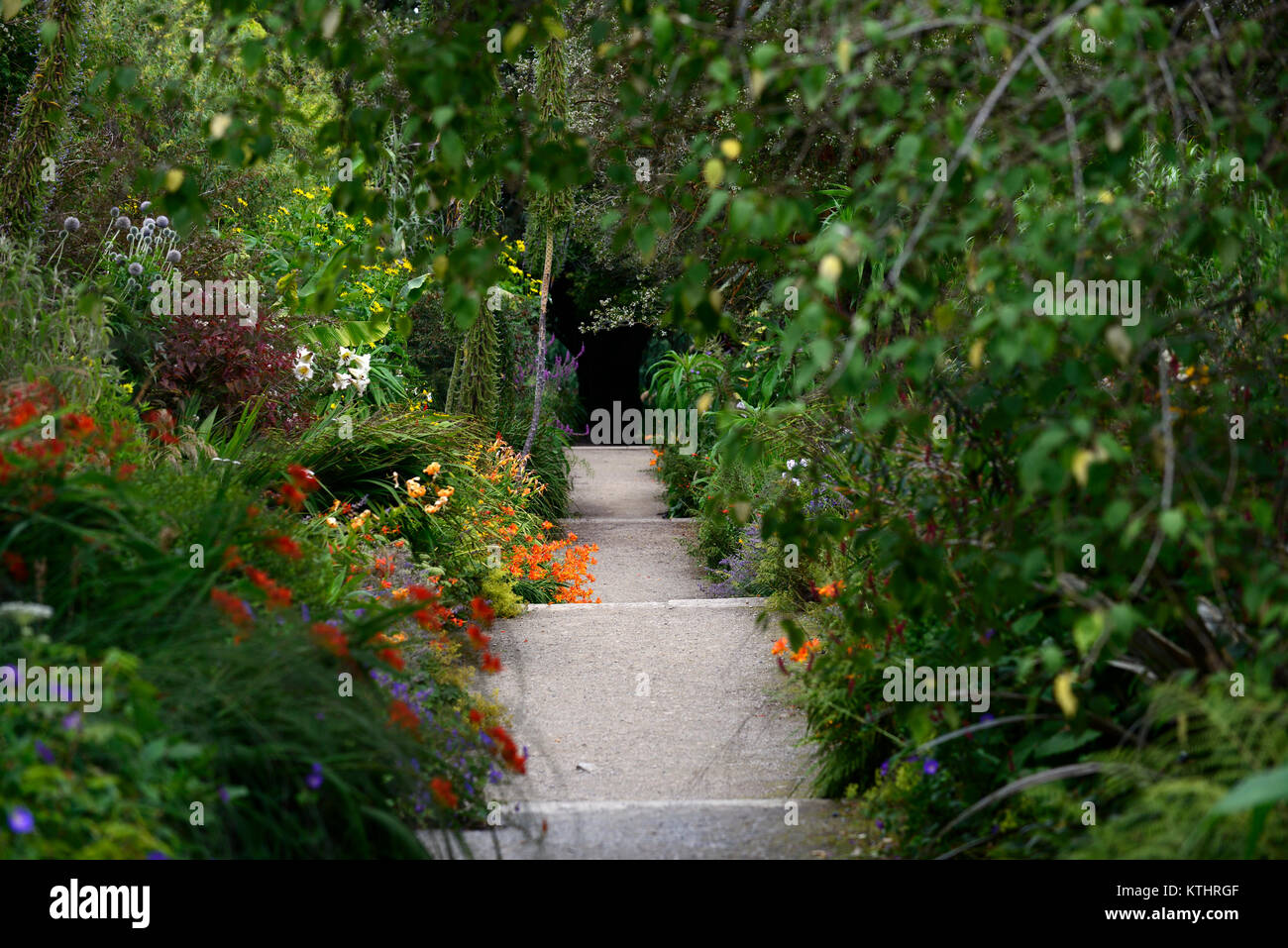 double, border,borders,herbaceous,perennial,National Botanic Gardens ...