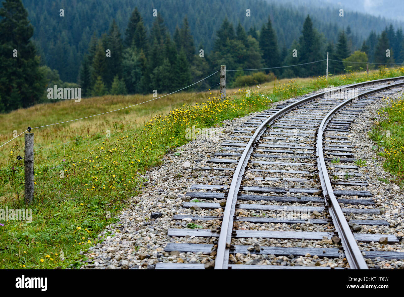 wavy railroad tracks in wet summer day in forest with green meadow on ...