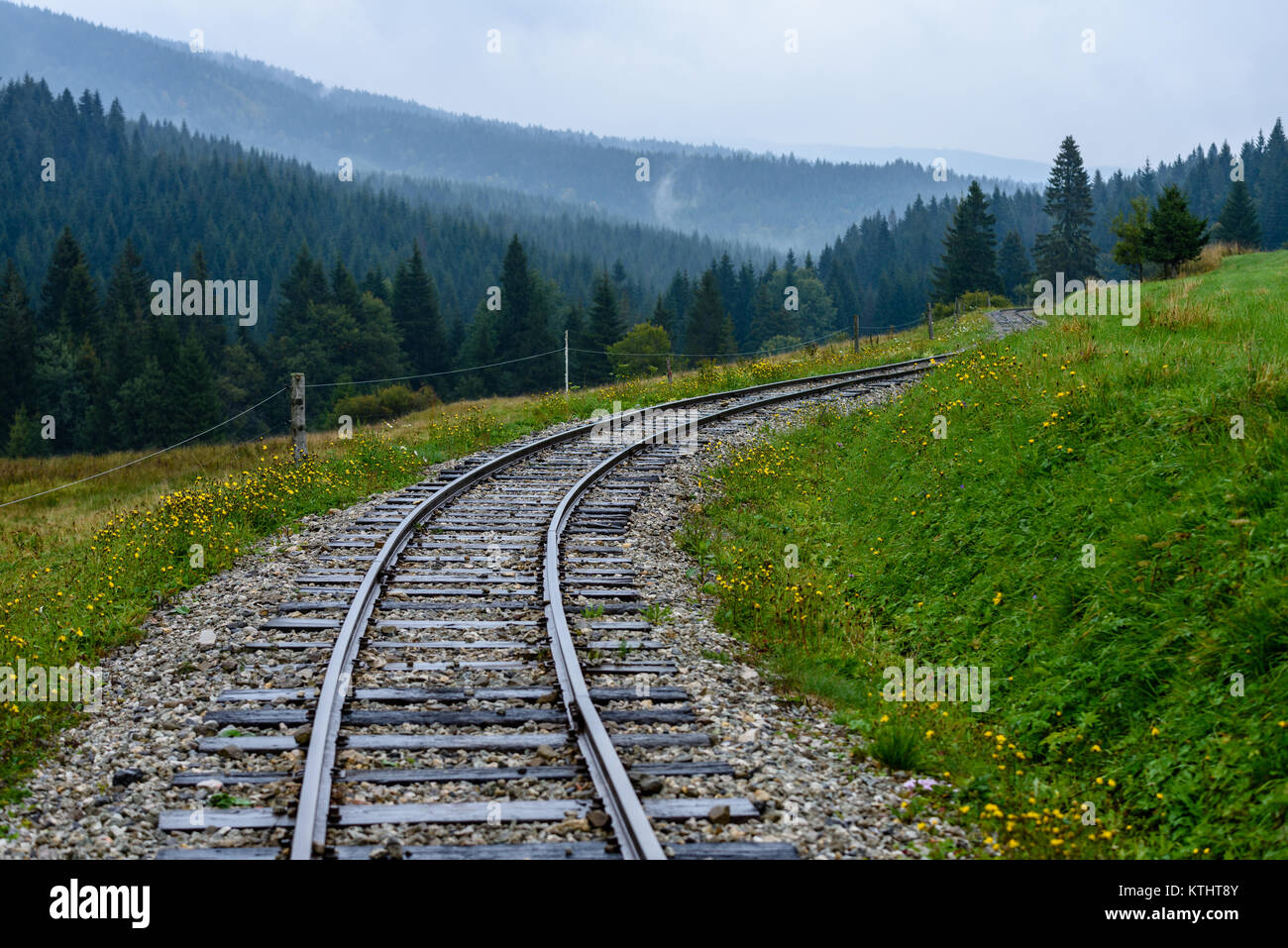 wavy railroad tracks in wet summer day in forest with green meadow on ...