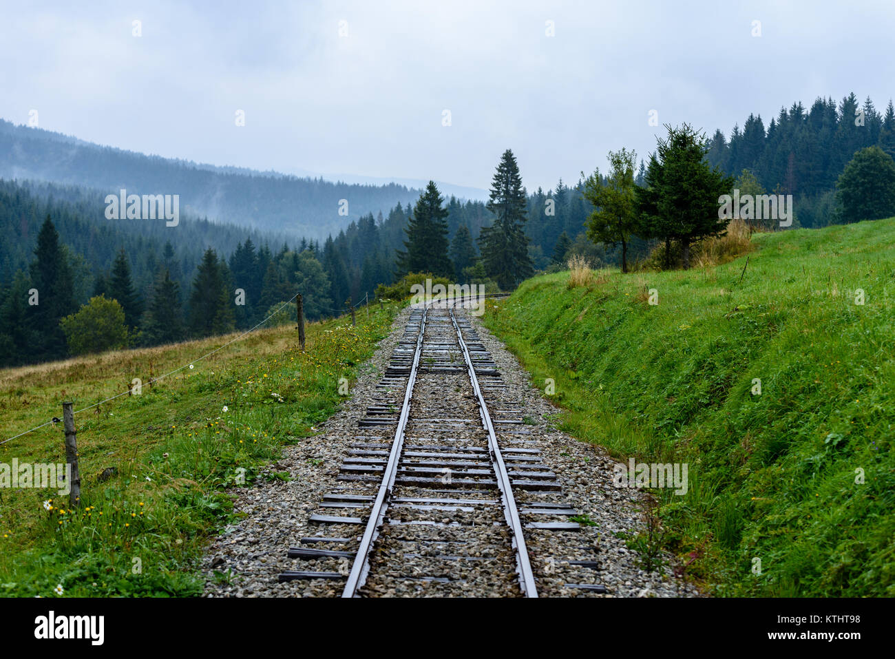wavy railroad tracks in wet summer day in forest with green meadow on ...
