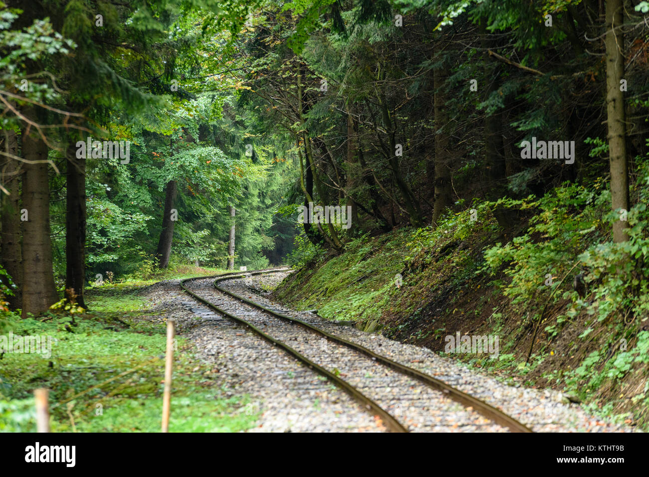 wavy railroad tracks in wet summer day in forest with green meadow on ...