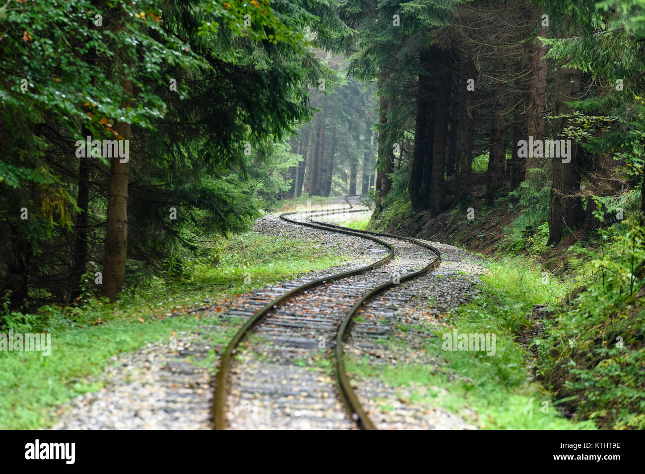 wavy railroad tracks in wet summer day in forest with green meadow on ...