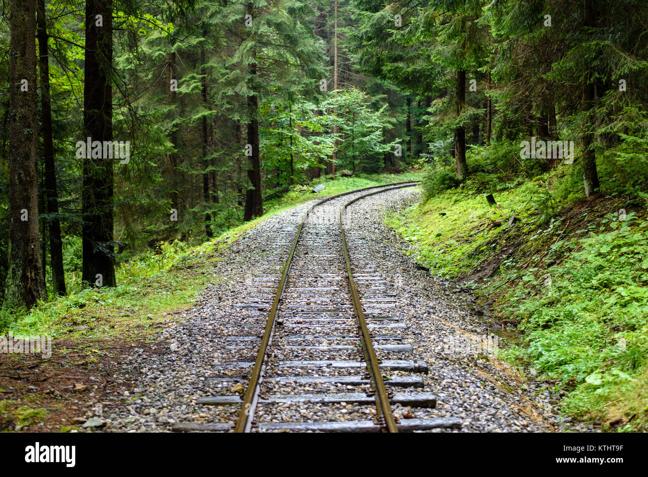 wavy railroad tracks in wet summer day in forest with green meadow on ...