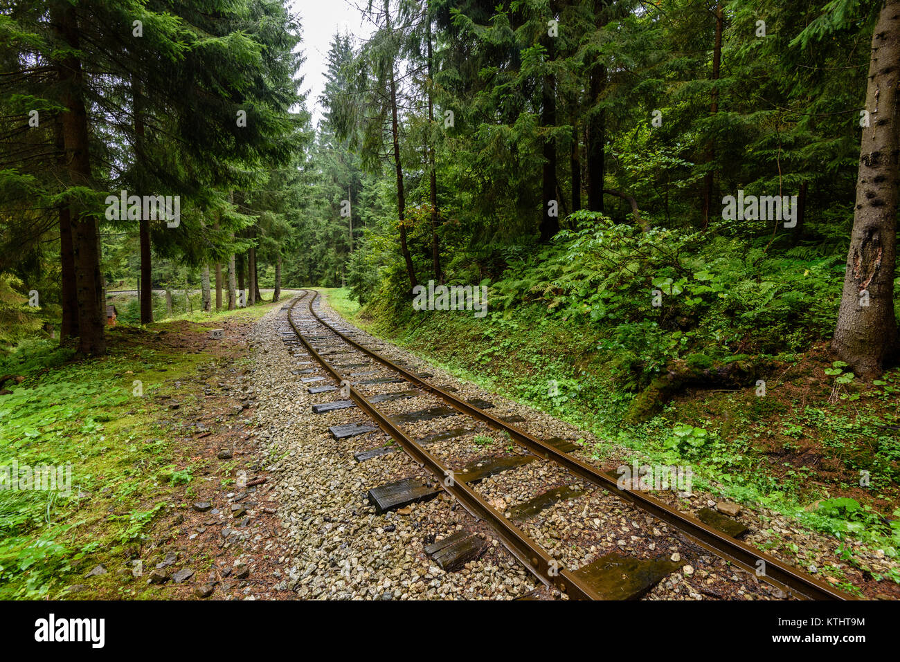 wavy railroad tracks in wet summer day in forest with green meadow on ...