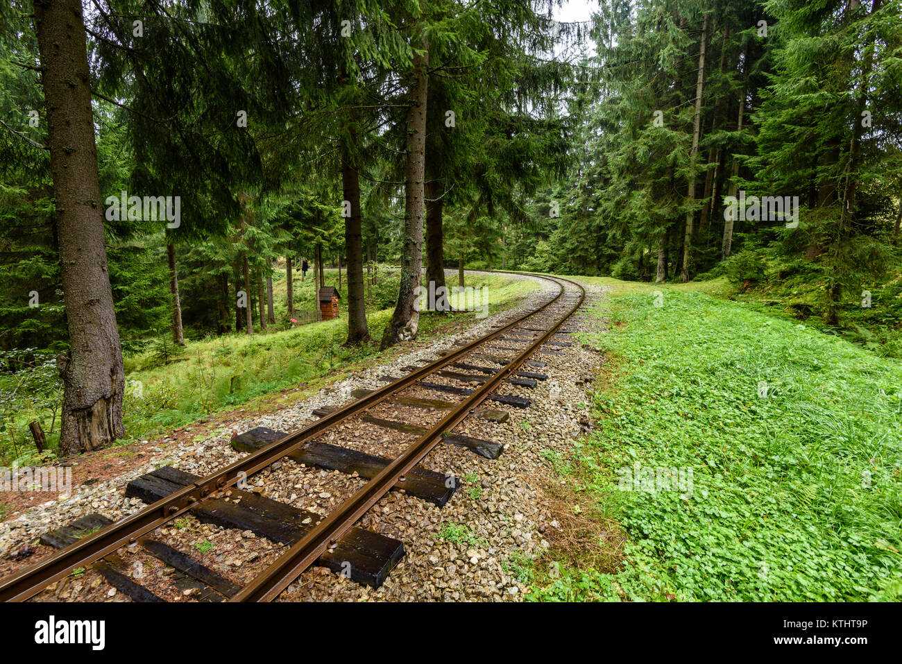 wavy railroad tracks in wet summer day in forest with green meadow on ...