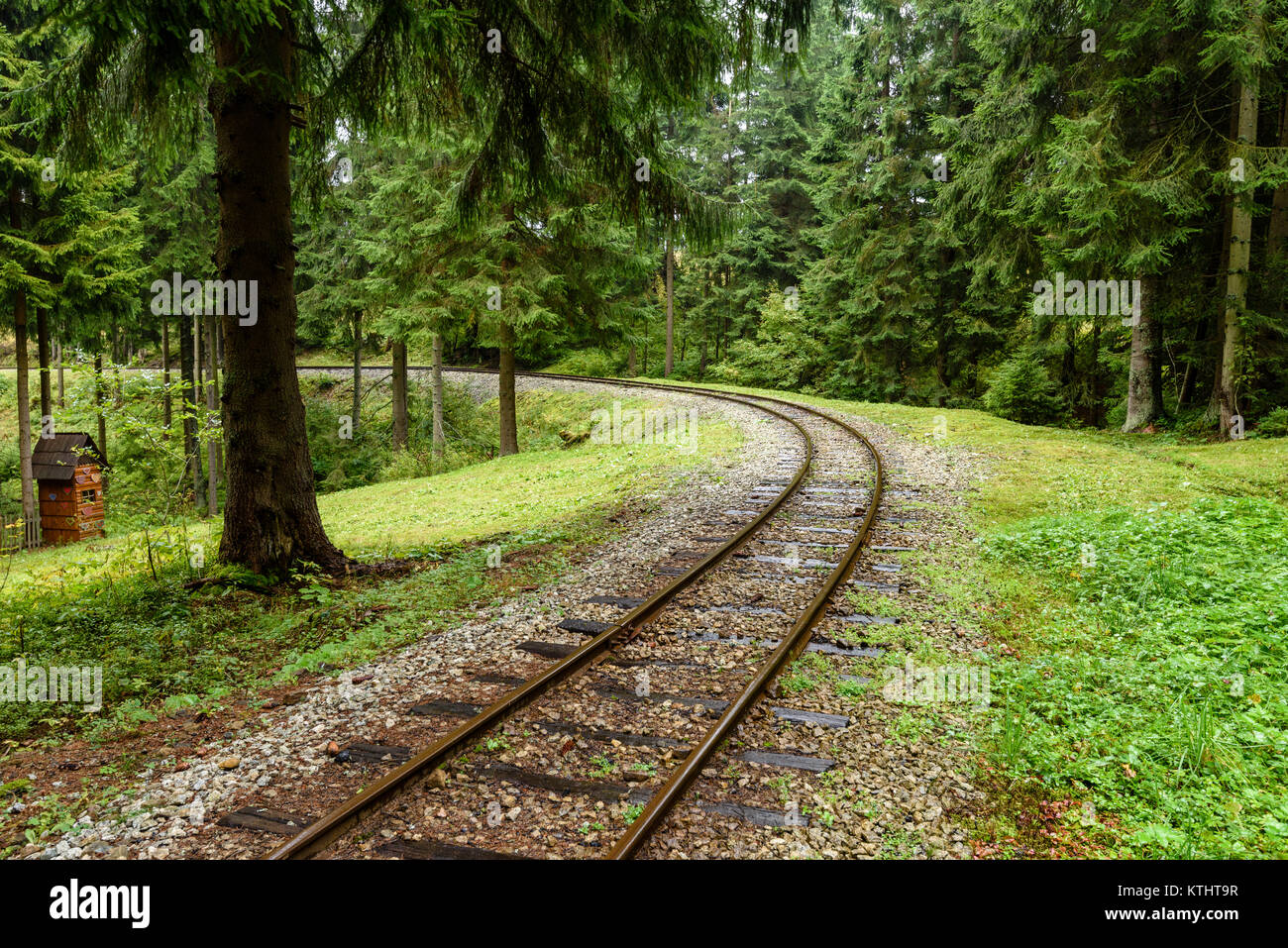 wavy railroad tracks in wet summer day in forest with green meadow on ...