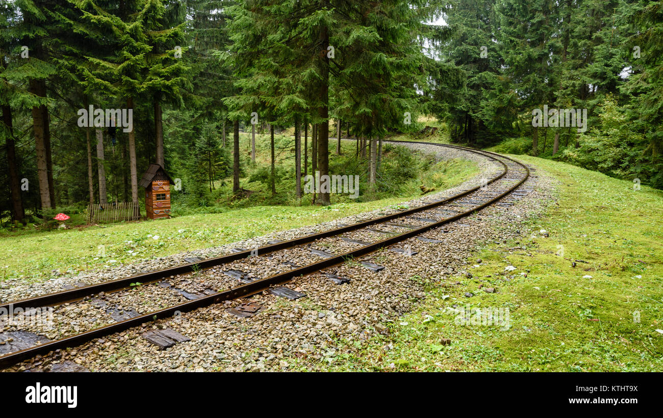 wavy railroad tracks in wet summer day in forest with green meadow on ...