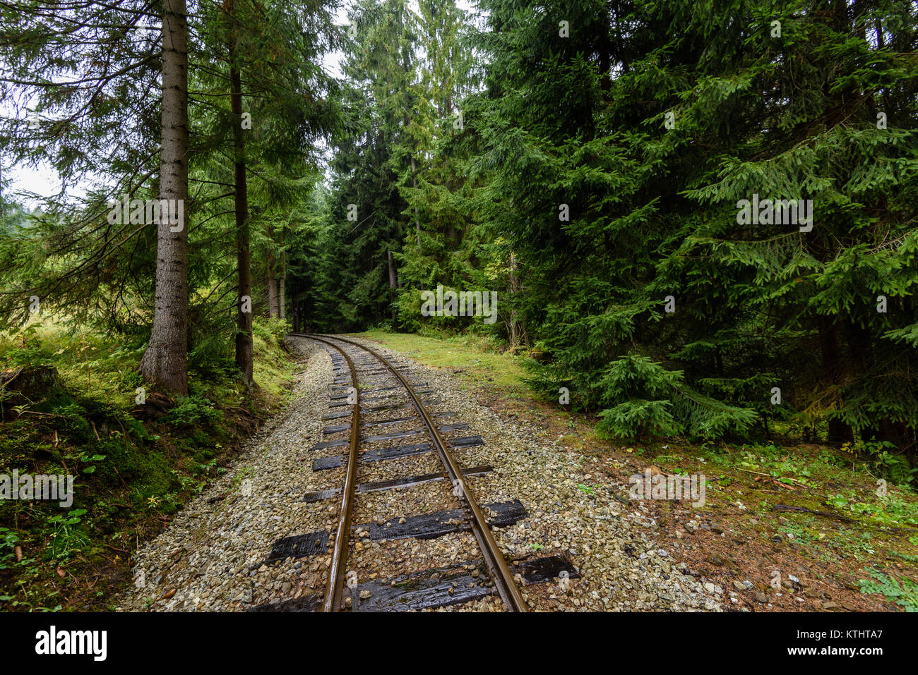 wavy railroad tracks in wet summer day in forest with green meadow on ...