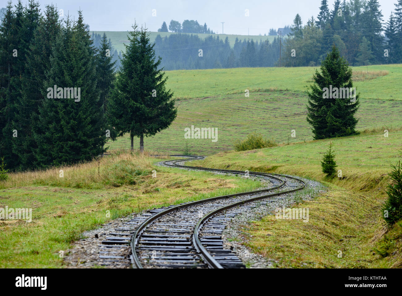 wavy railroad tracks in wet summer day in forest with green meadow on ...