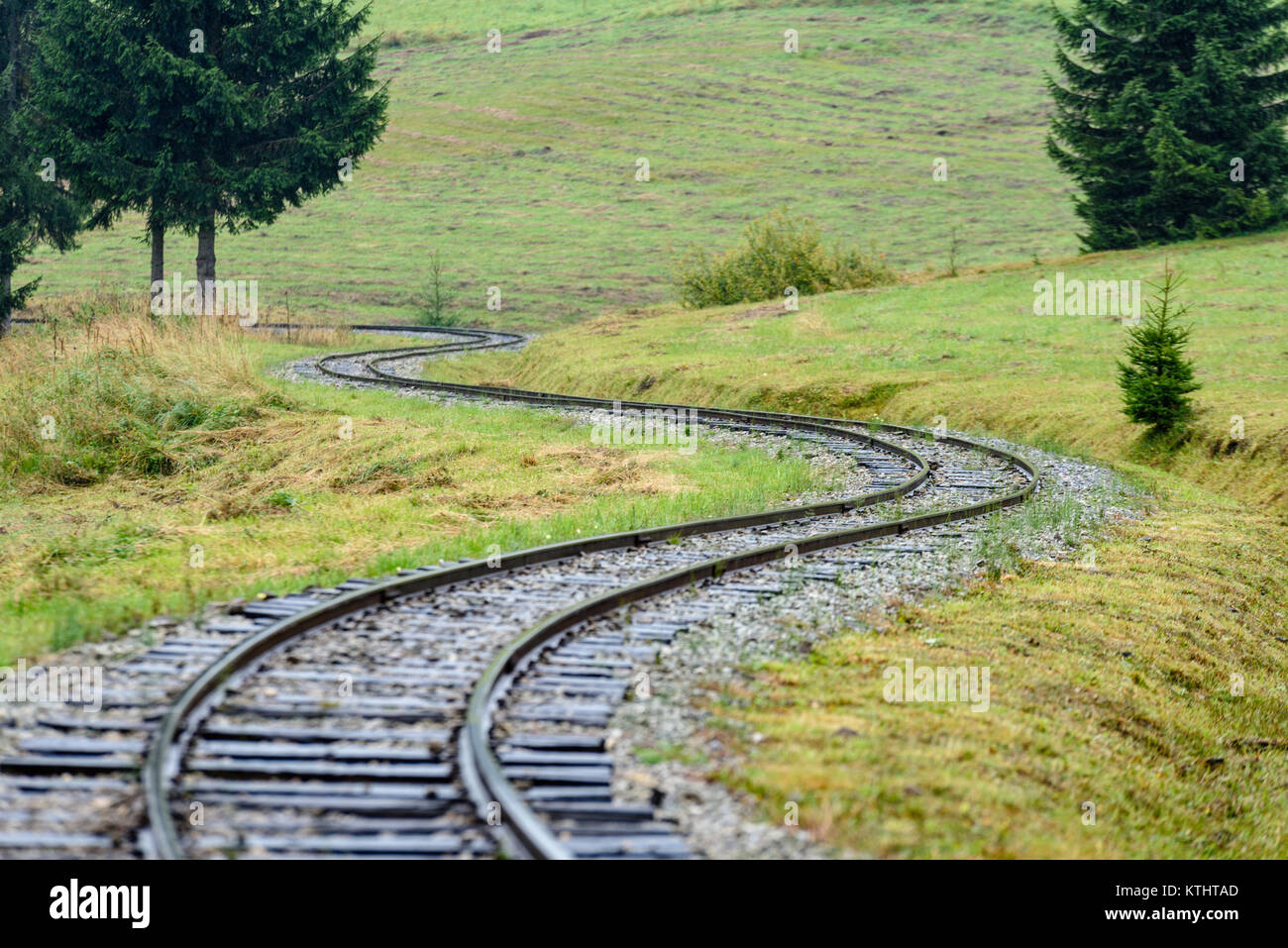 wavy railroad tracks in wet summer day in forest with green meadow on ...