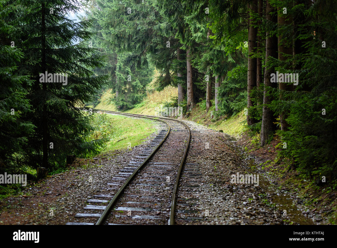 wavy railroad tracks in wet summer day in forest with green meadow on ...