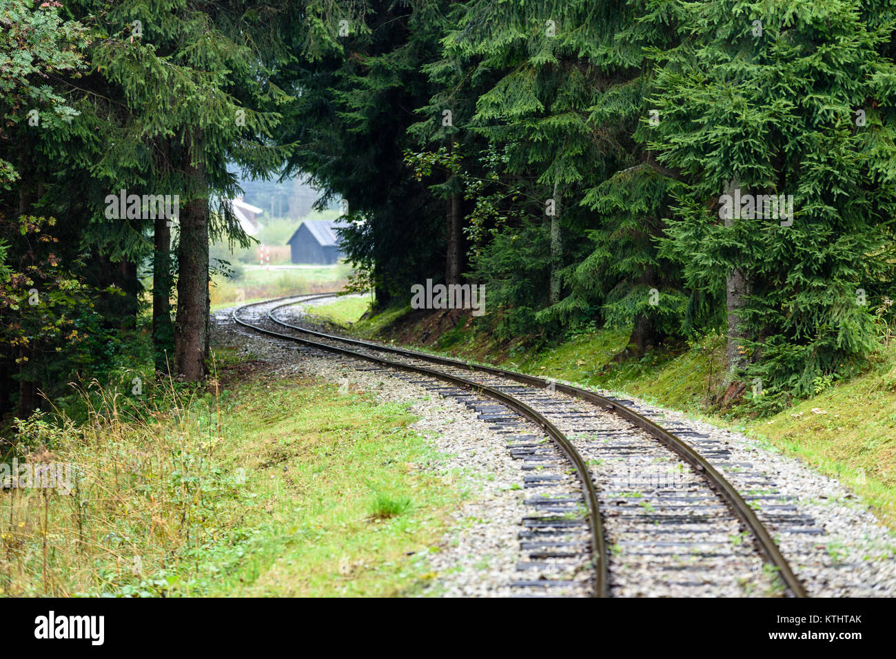 wavy railroad tracks in wet summer day in forest with green meadow on ...