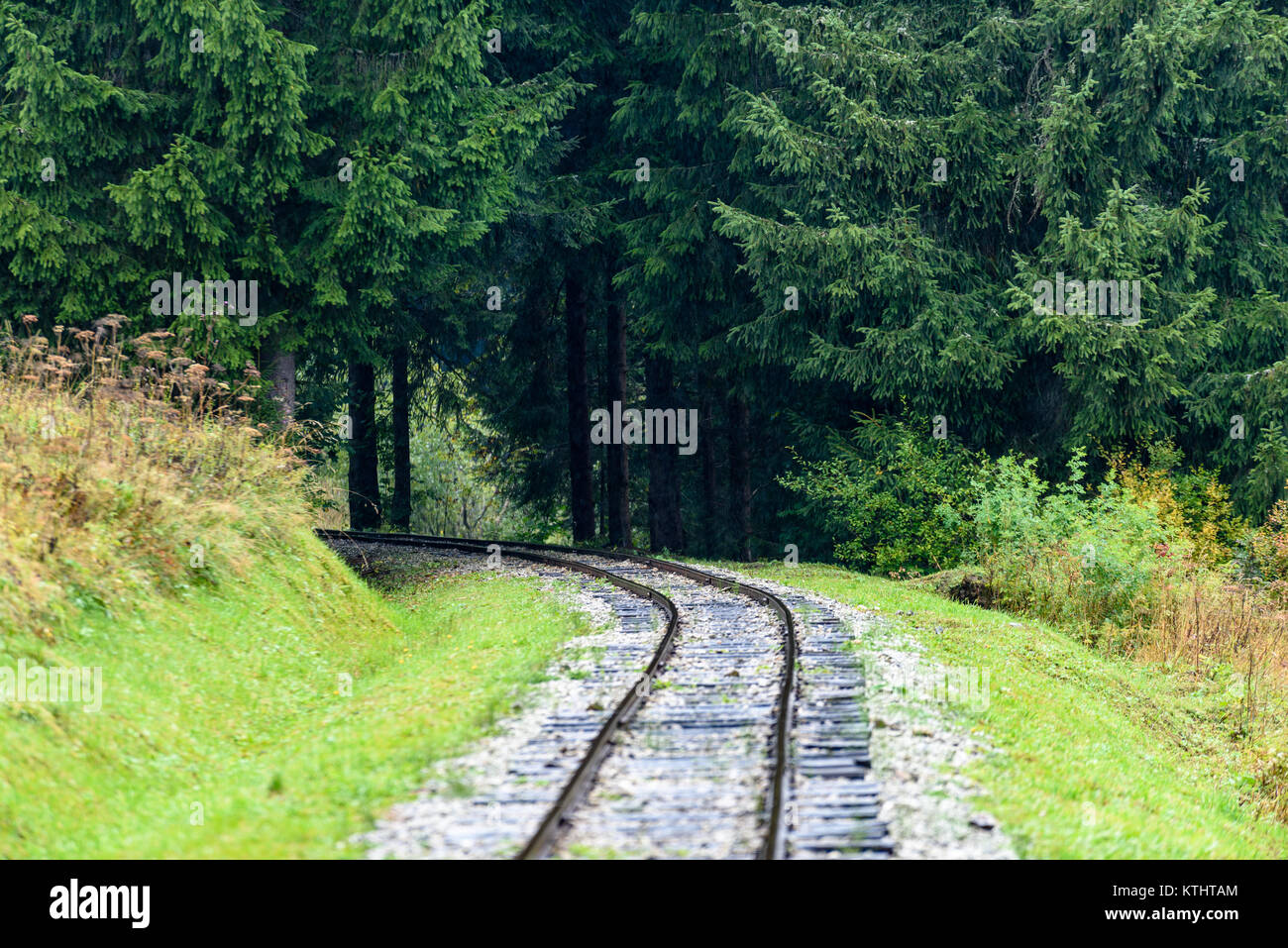 wavy railroad tracks in wet summer day in forest with green meadow on ...