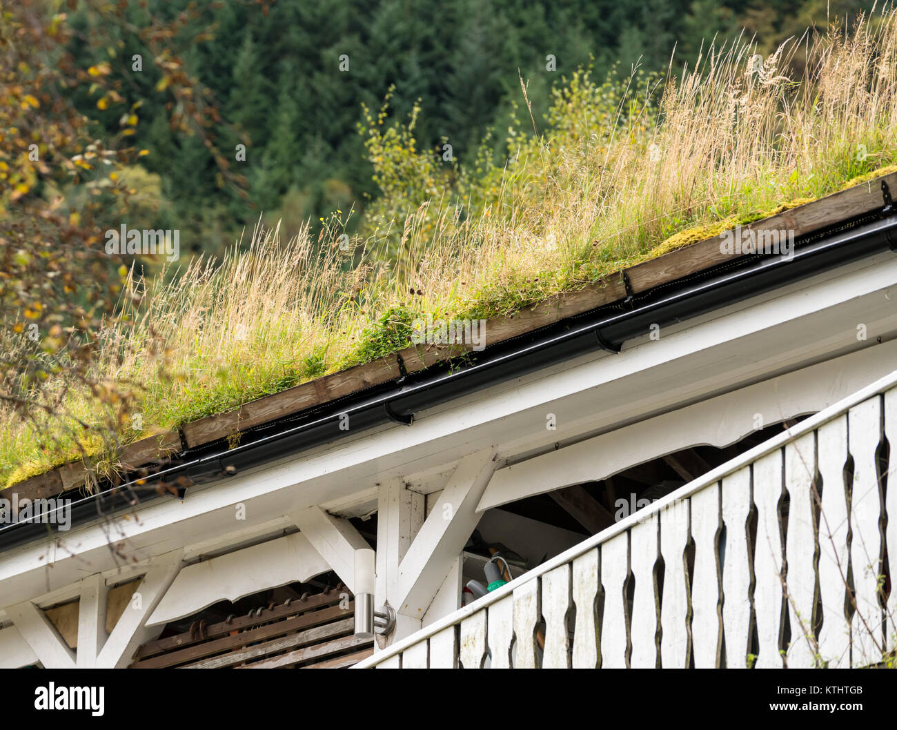 Roofing material hi-res stock photography and images - Alamy
