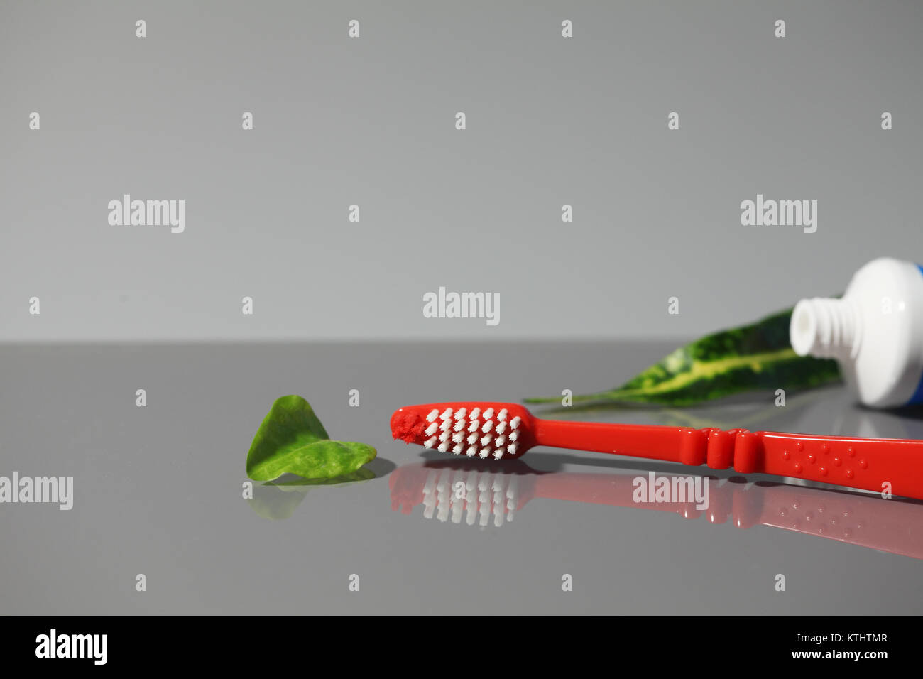 Toothbrush tube of toothpaste with green leaves, conceptual image ...