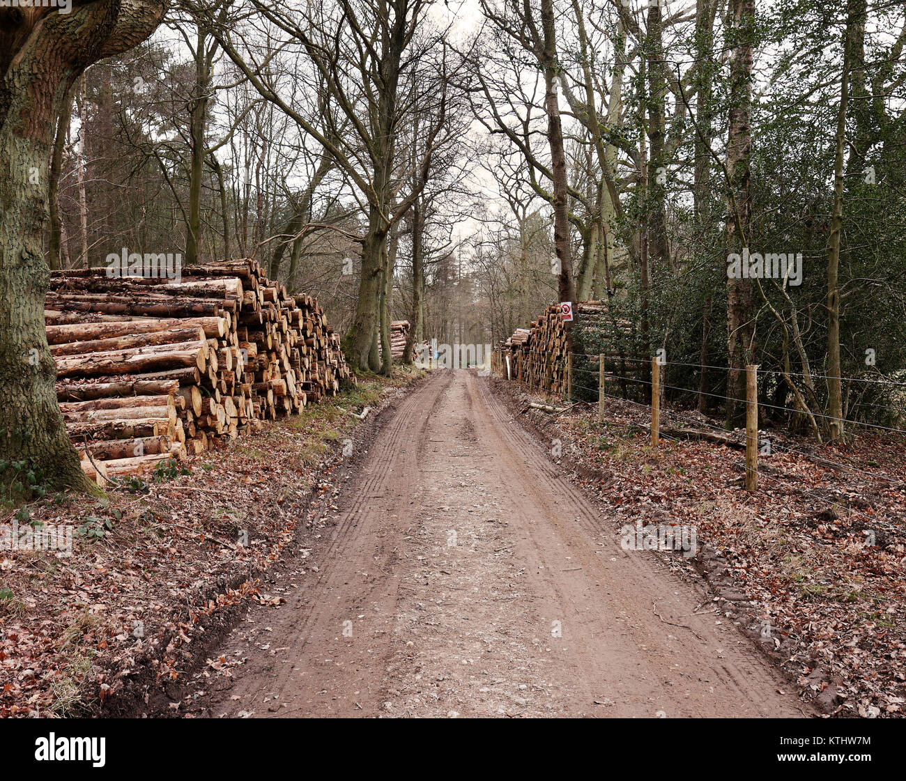 Woodland industry hi-res stock photography and images - Alamy