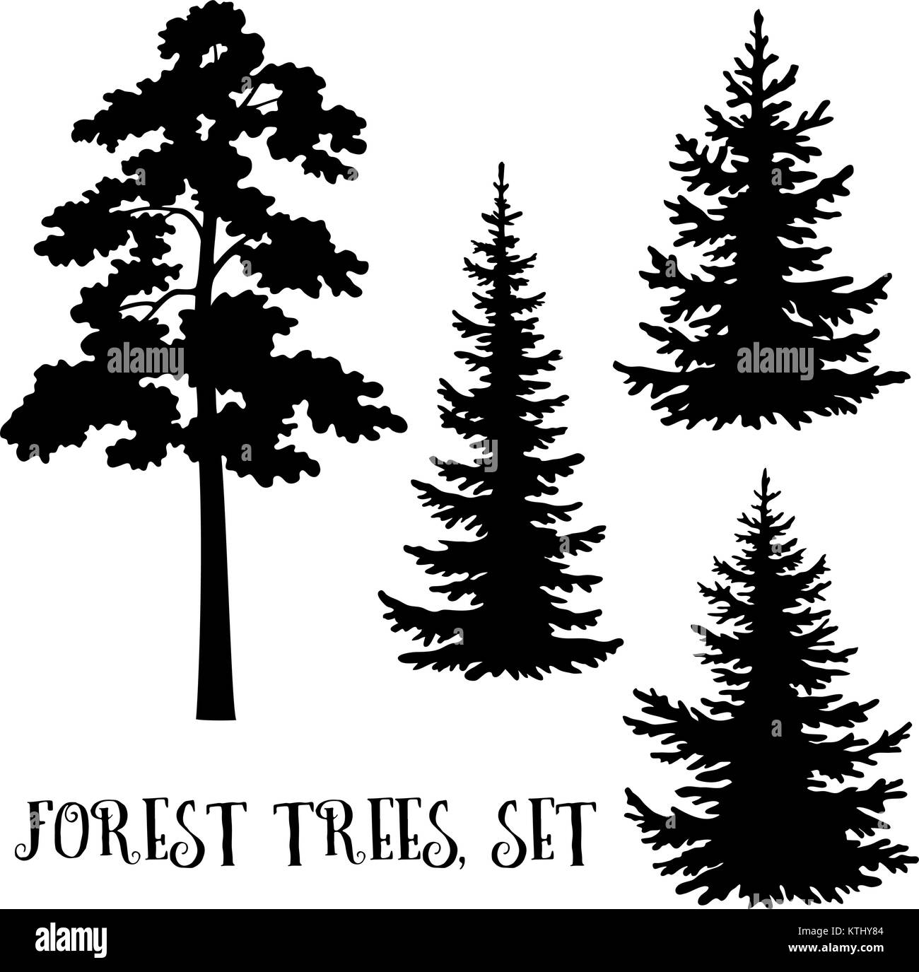 Pine spruce trees vector Stock Vector Images - Alamy