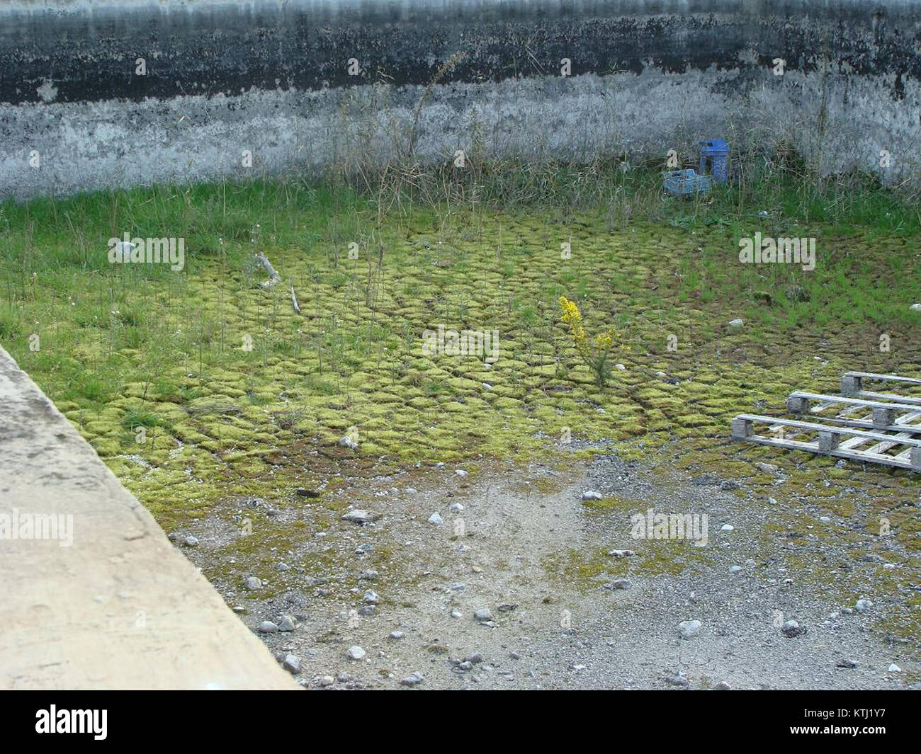 Raft irrigation hi-res stock photography and images - Alamy