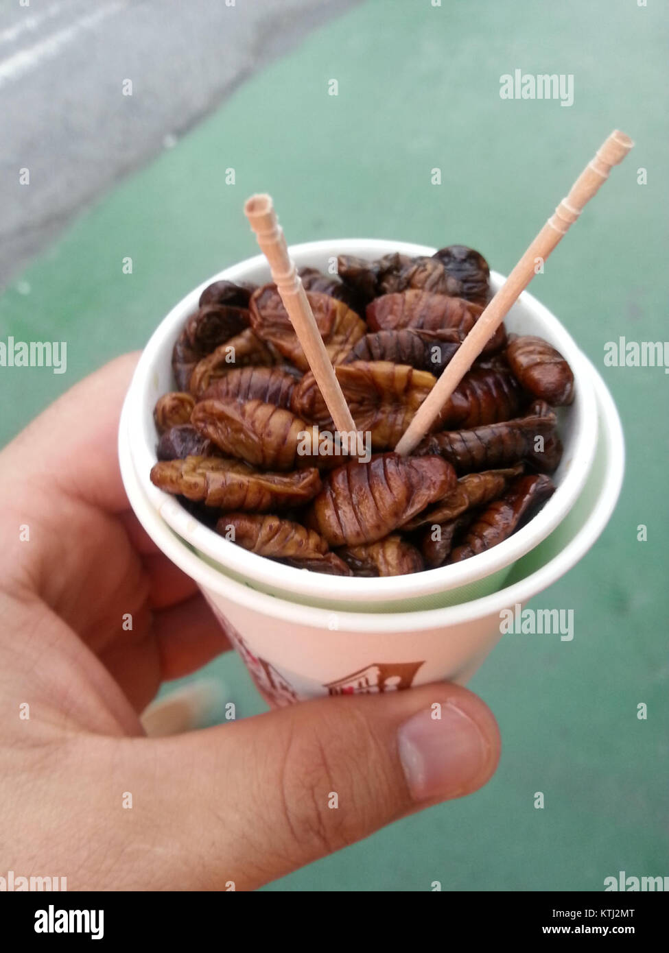 Beondegi boiled silkworm pupae larvae hi-res stock photography and ...