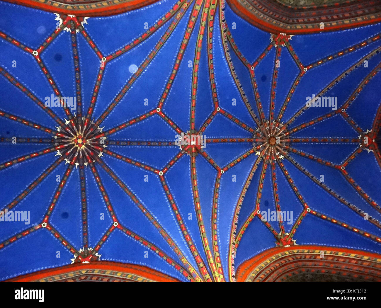 An image capturing the polychromatic interior of the Cathedral in ...