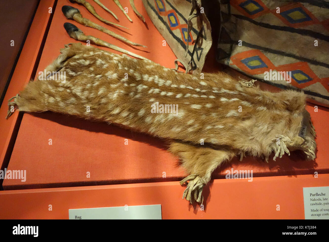 Bag, Nakoda, mid 1900s, fawn skin Glenbow Museum DSC00948 Stock Photo ...
