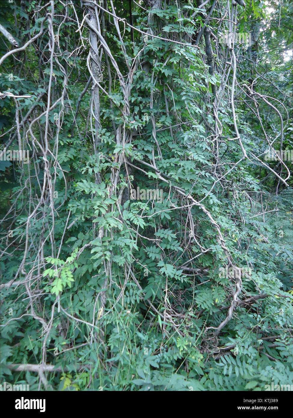 Berkeley heights new jersey hi-res stock photography and images - Alamy