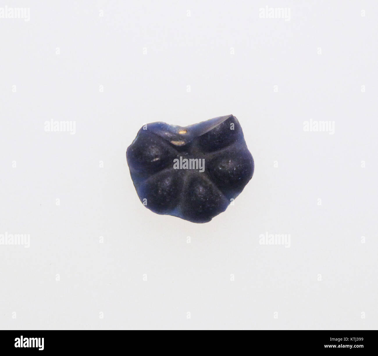 Rosette form hi-res stock photography and images - Alamy