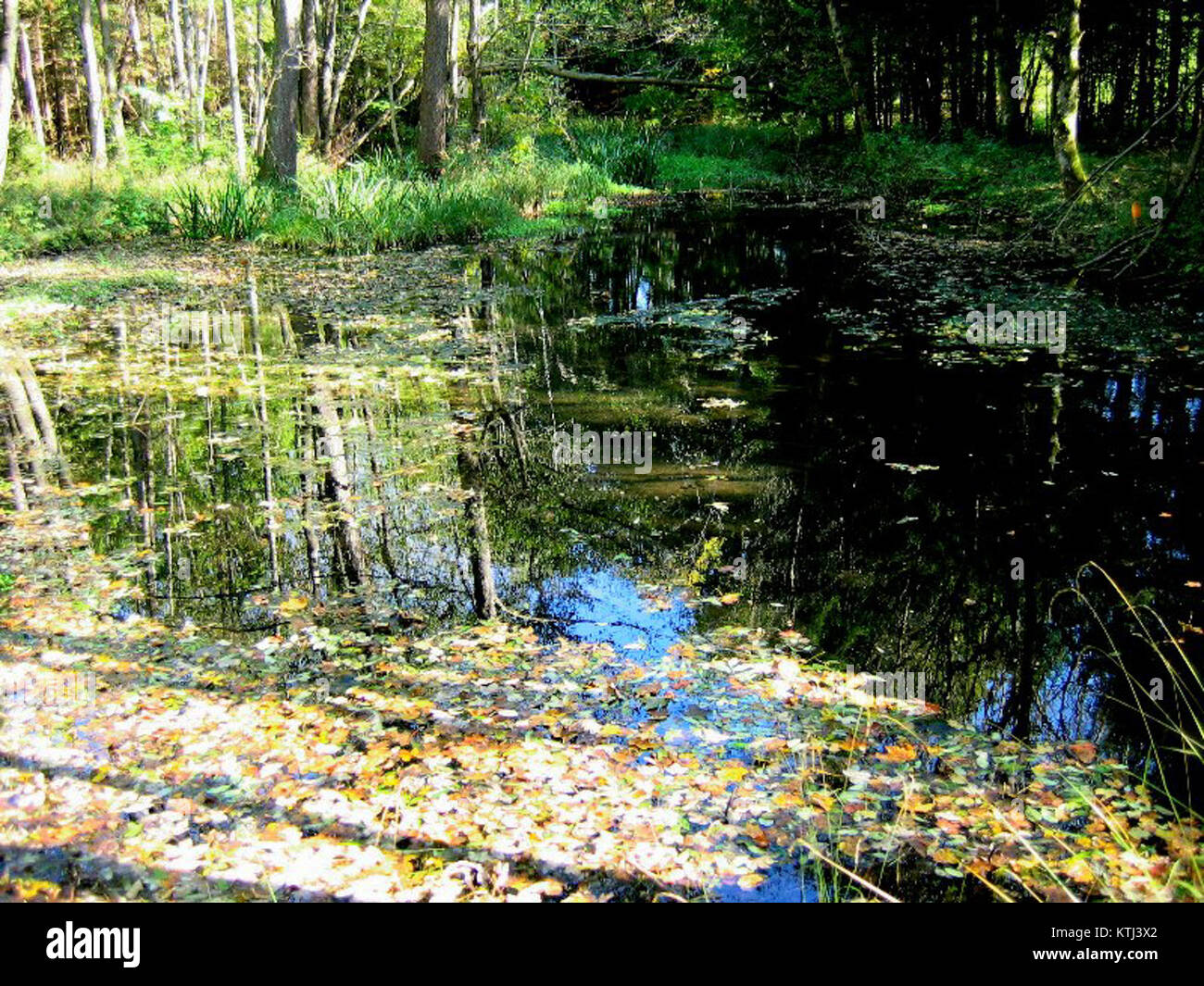 Aubach Pilsensee 02 Stock Photo - Alamy