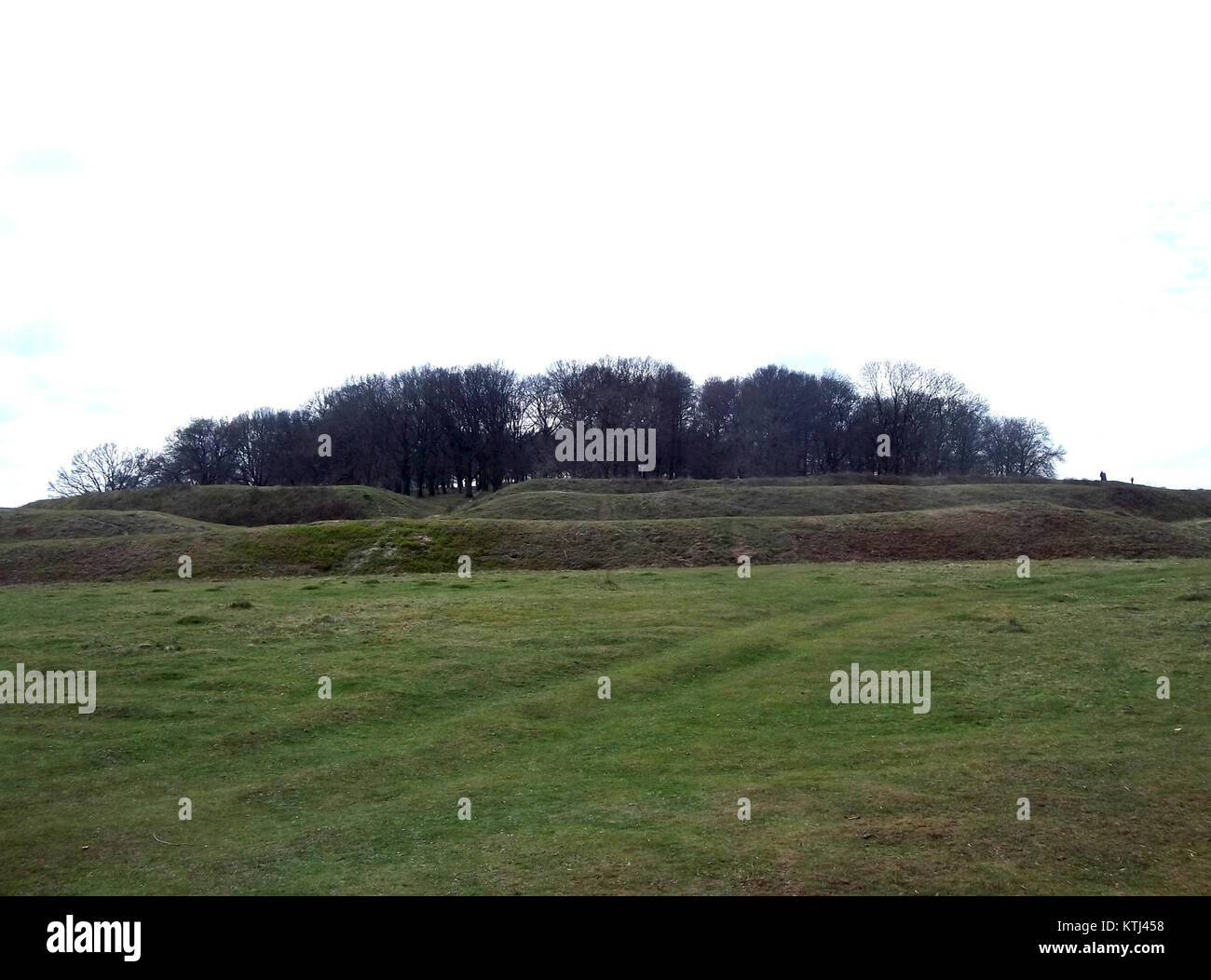Badbury Rings is an ancient hillfort in Dorset, England, with ...