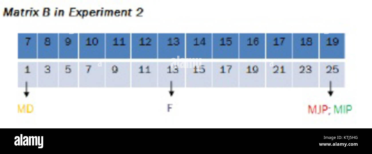 Experiment 2 Matrix B refers to a scientific or experimental setup ...